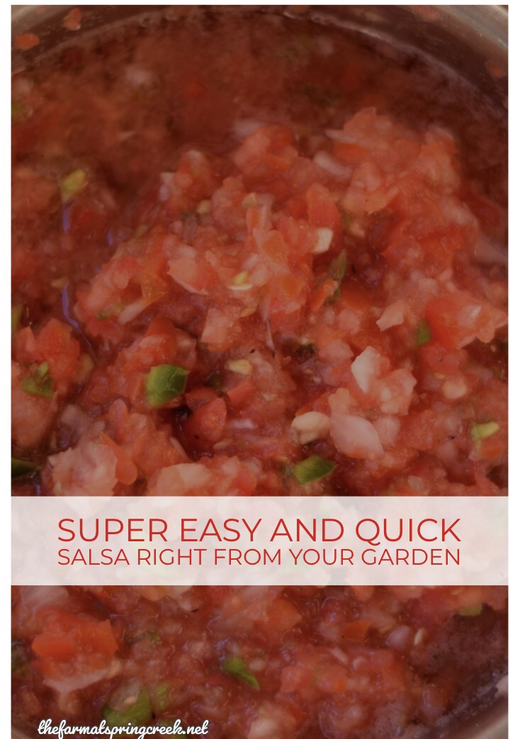 Garden Salsa - The Farm at Spring Creek